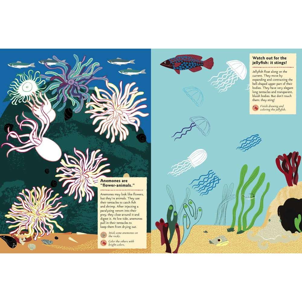 Books & Gifts :: Children's Books :: Animal Books :: Ocean & Sealife ...