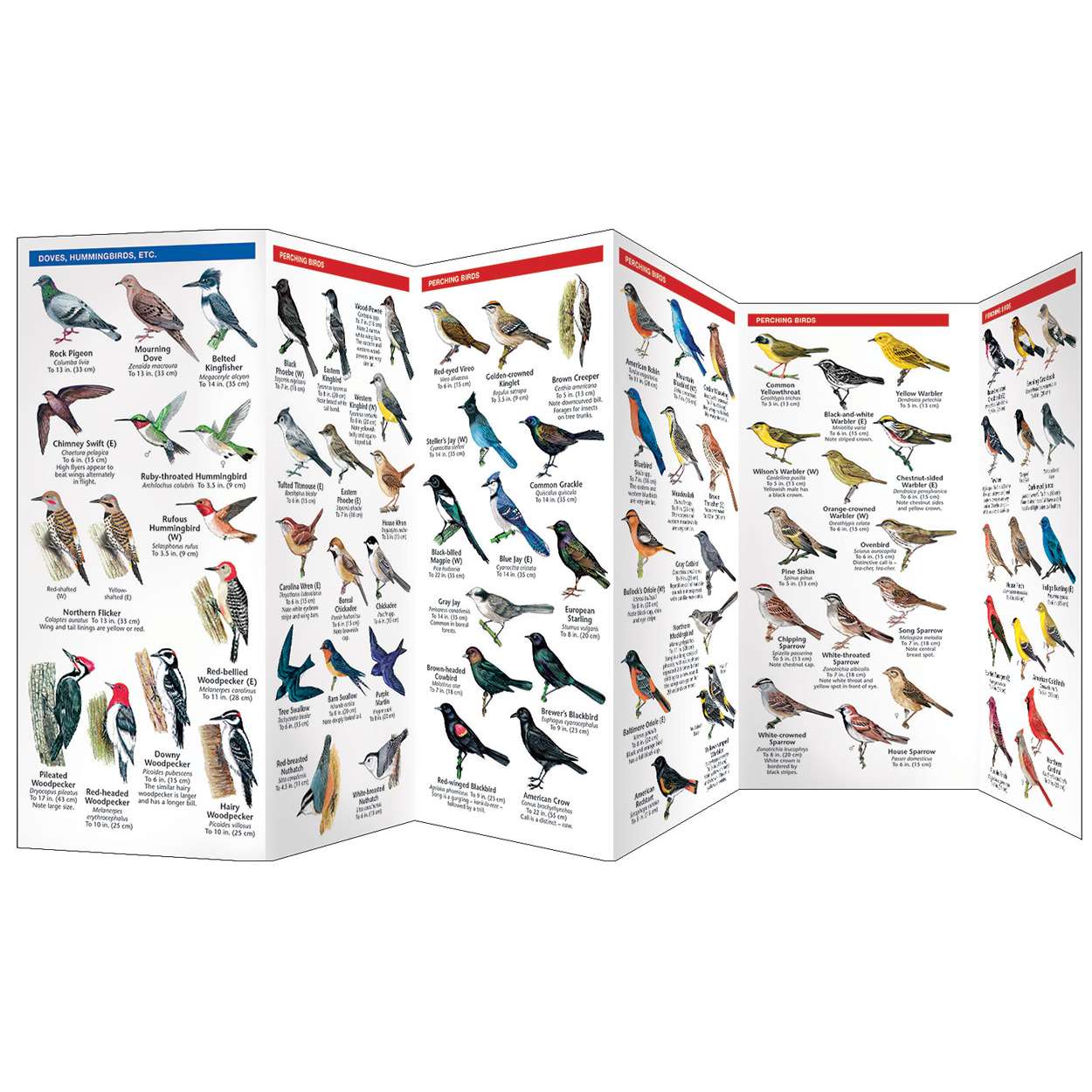 Books & Gifts :: Science & Nature :: Field Identification Guides ...