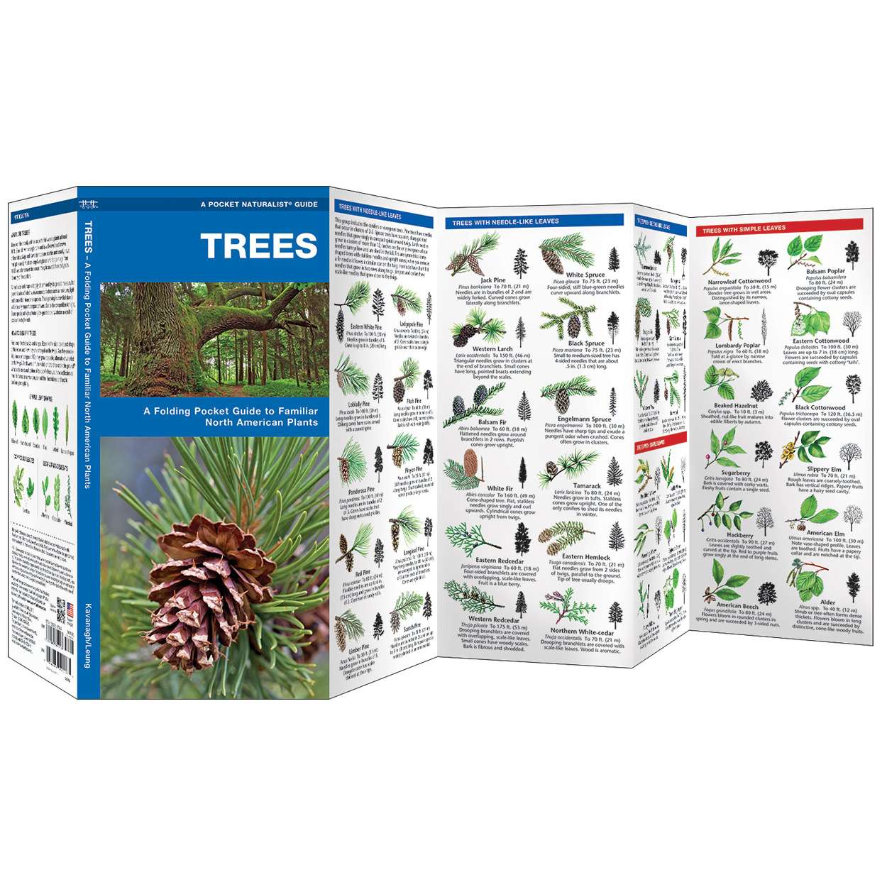 Books & Gifts :: Science & Nature :: Field Identification Guides ...
