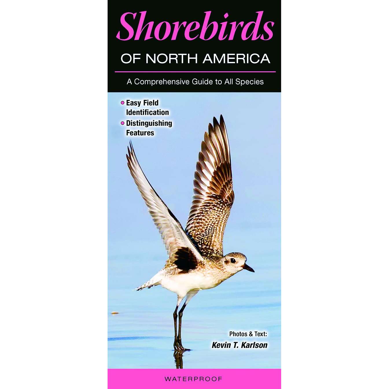 Books & Gifts :: Science & Nature :: Field Identification Guides ...