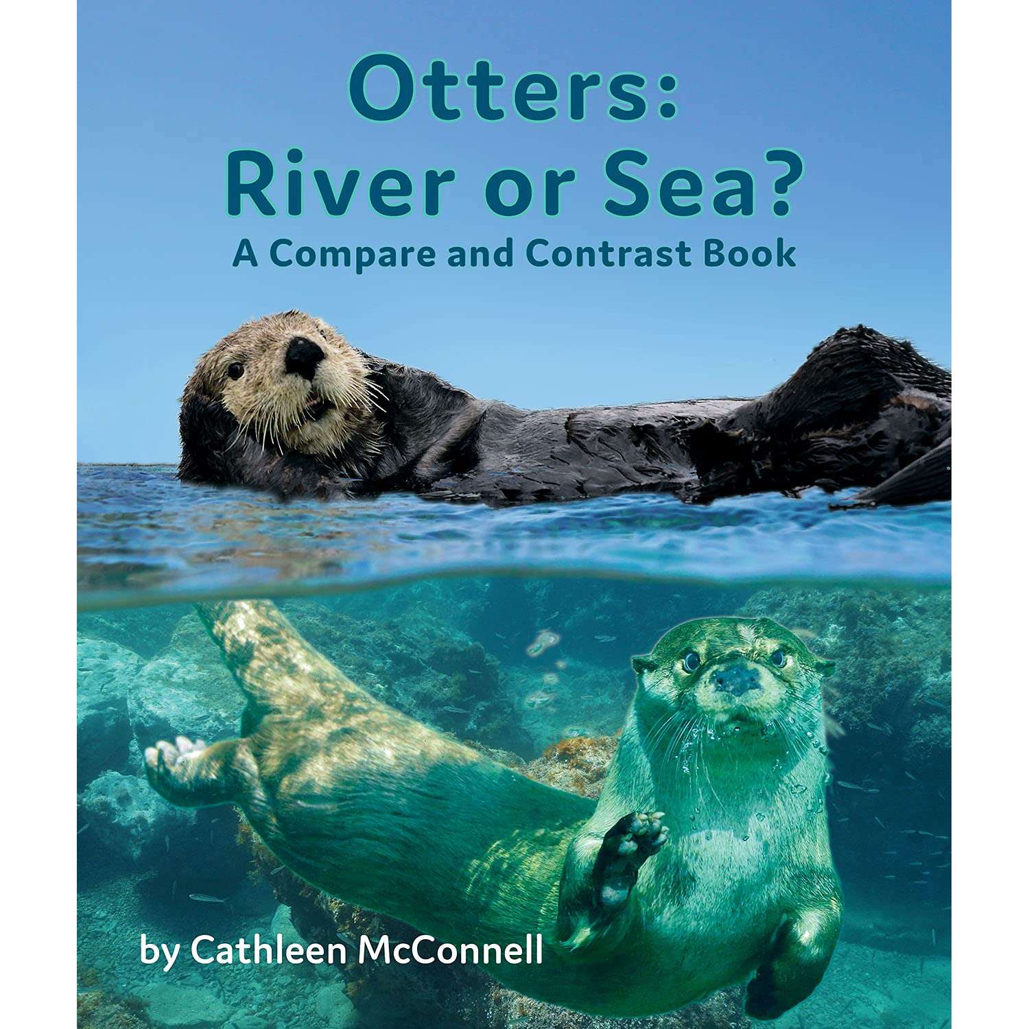 Books & Gifts :: Pacific Northwest :: Marine Mammals :: Otters: River ...