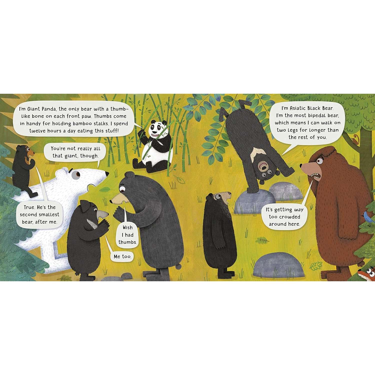 Books & Gifts :: Children's Books :: Bears Are Best!: The scoop about ...