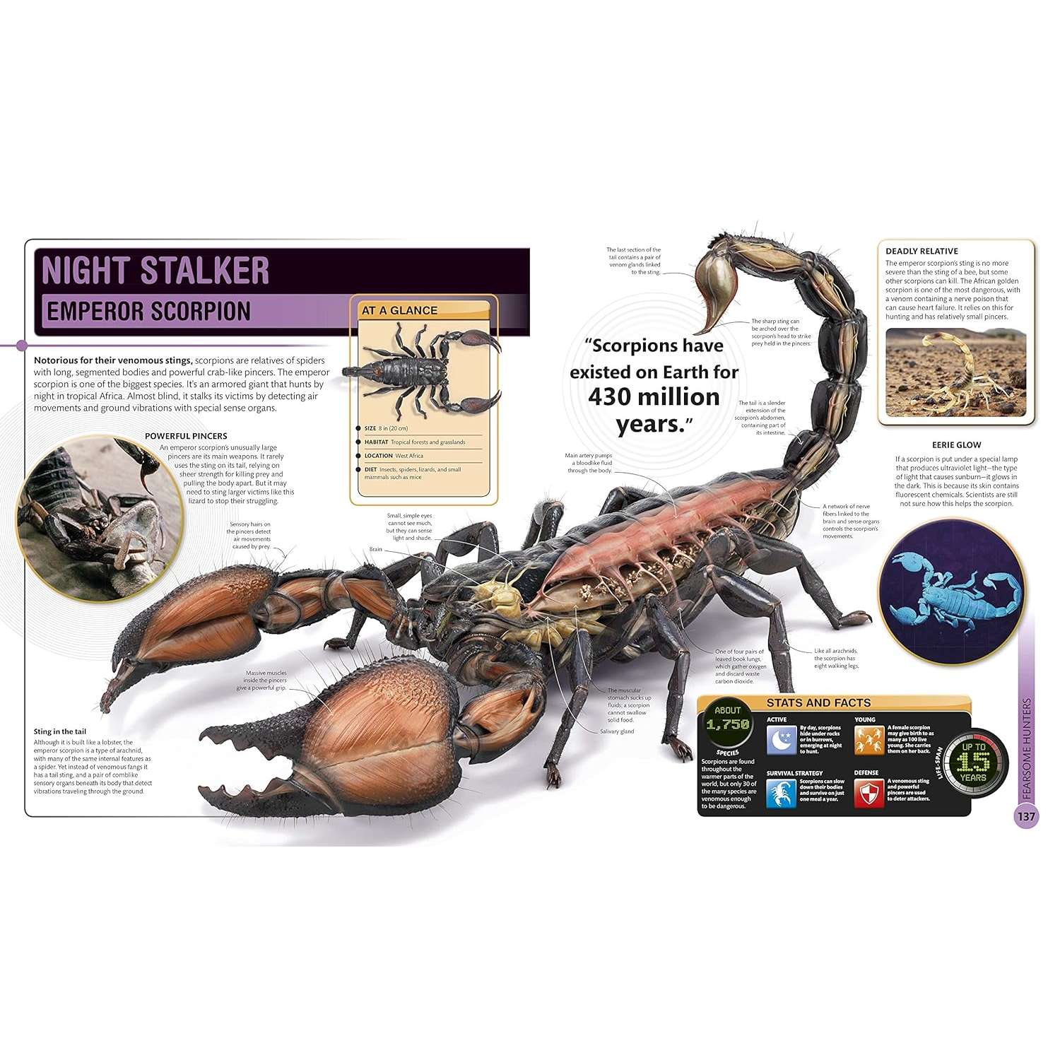 Super Bug Encyclopedia: The Biggest, Fastest, Deadliest Creepy-Crawlers ...