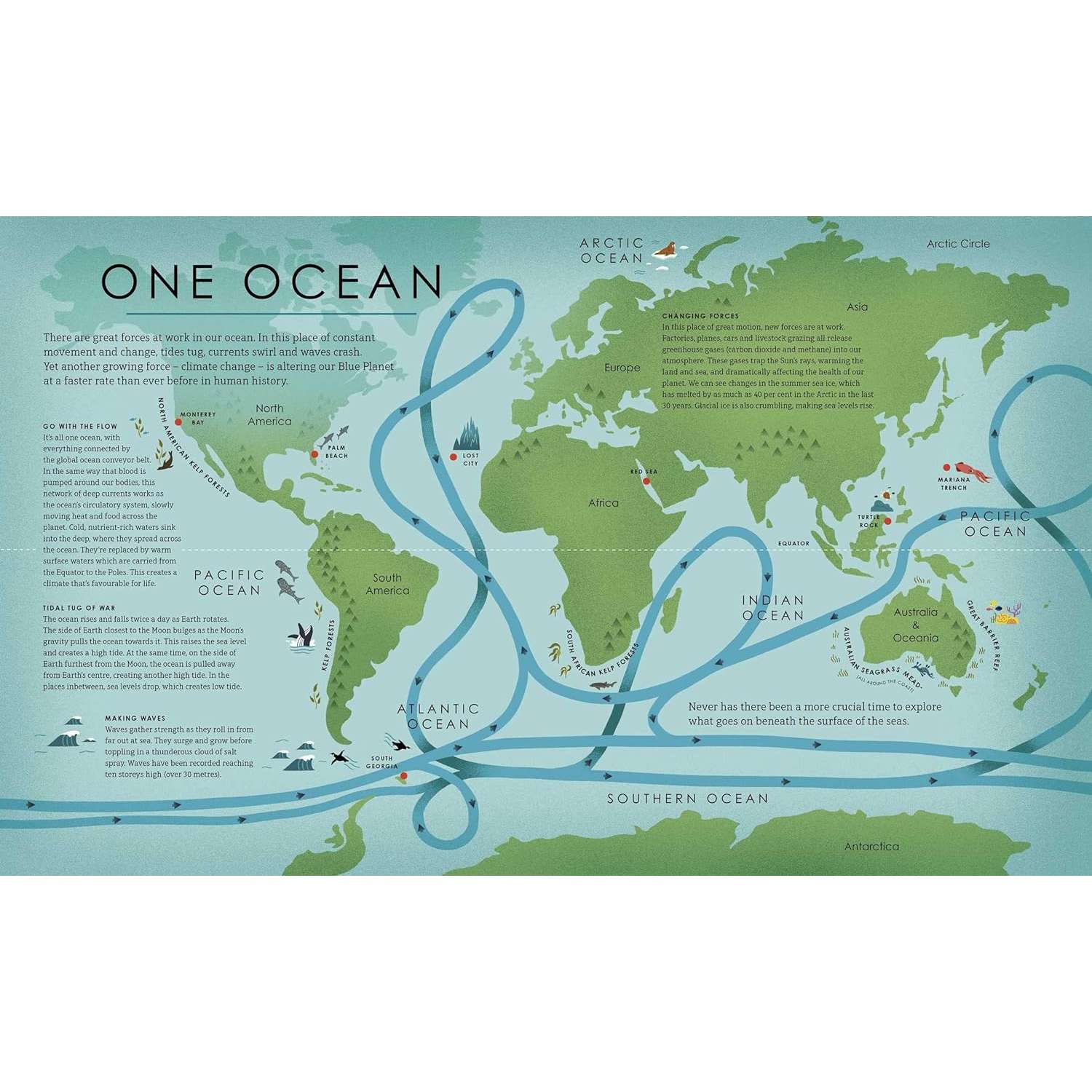 Books & Gifts :: BBC - Our Blue Planet - Book - Paracay - Wholesale ...
