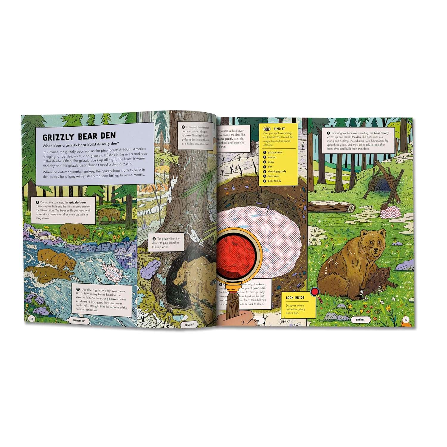 Marvelous Animal Homes: A Magic Lens Book - Paracay