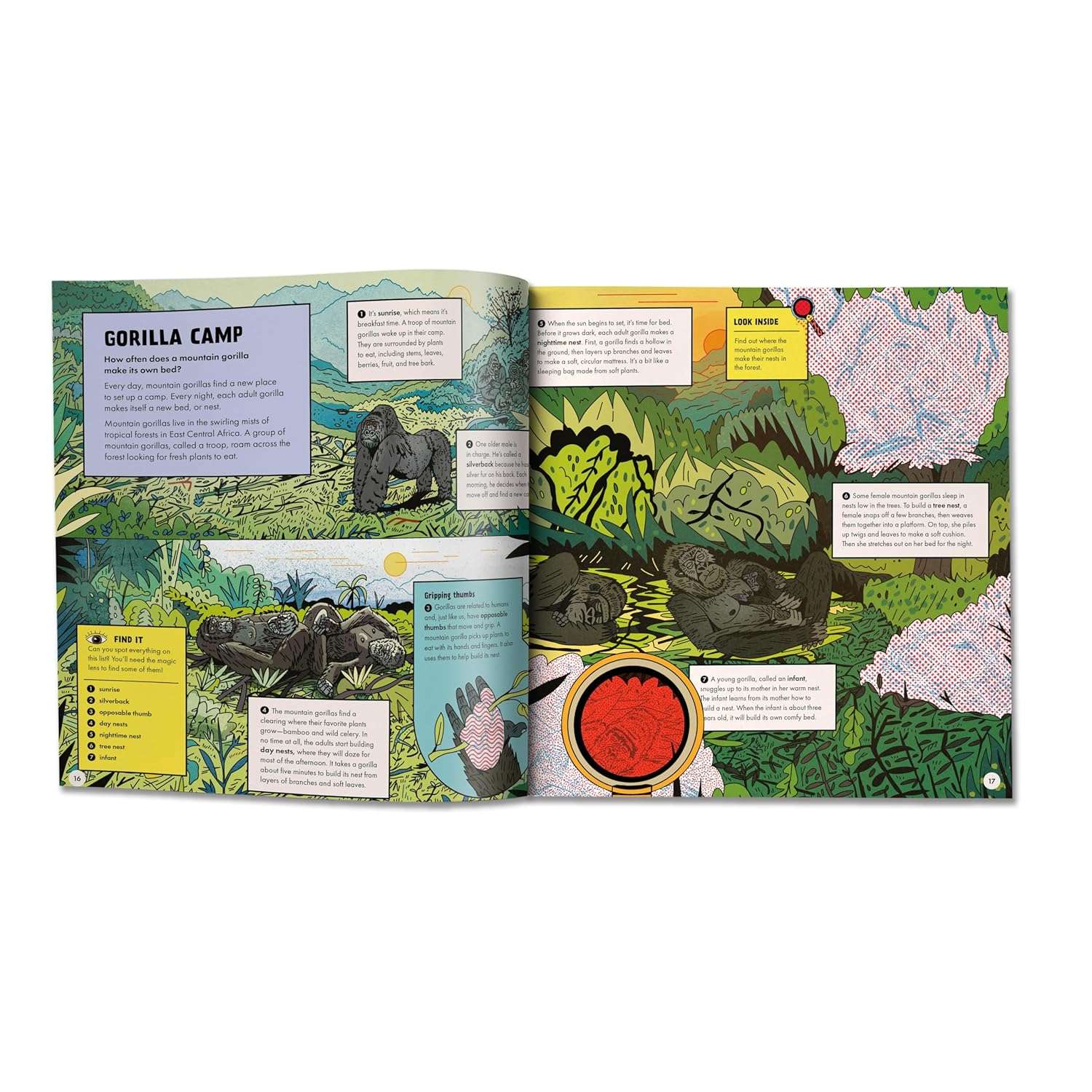 Marvelous Animal Homes: A Magic Lens Book - Paracay