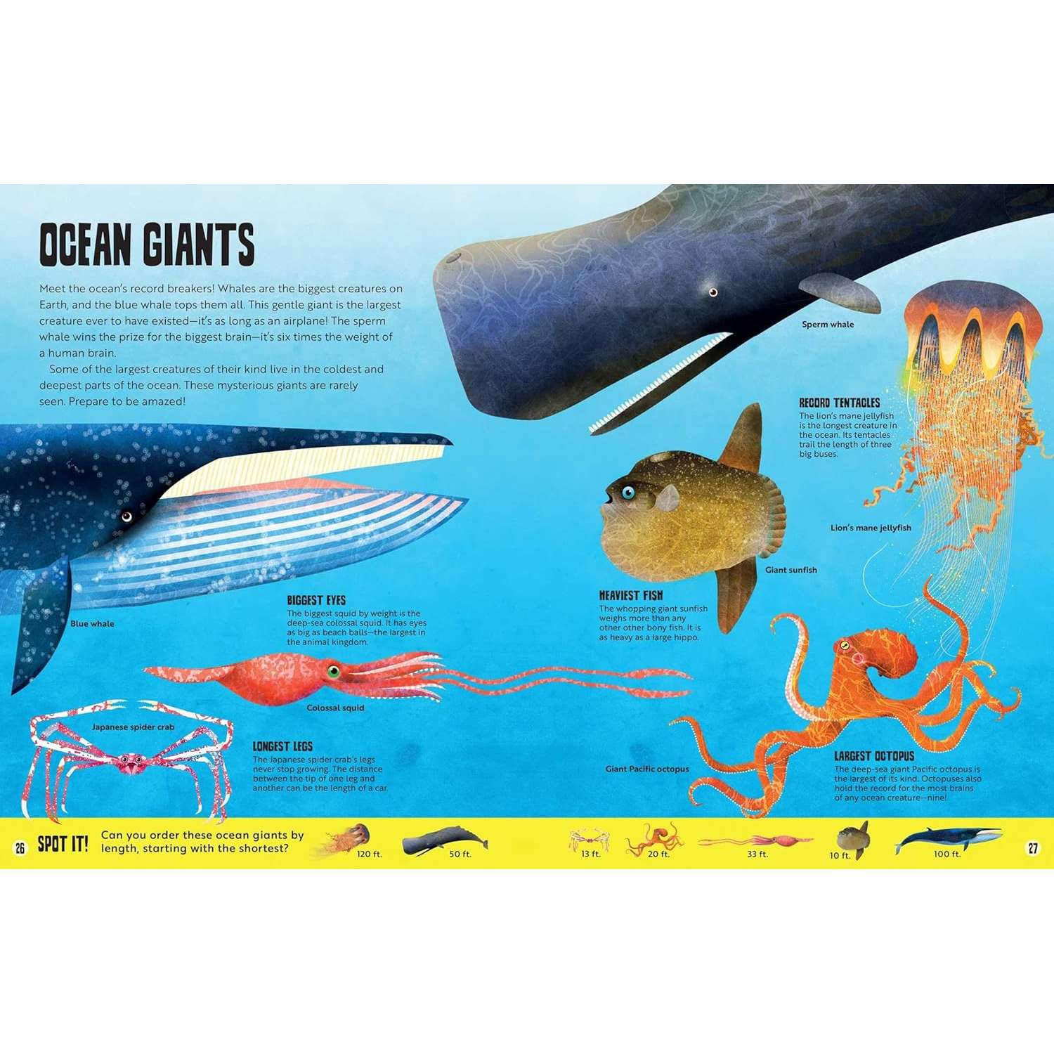 My First Oceans Atlas - Book - Paracay