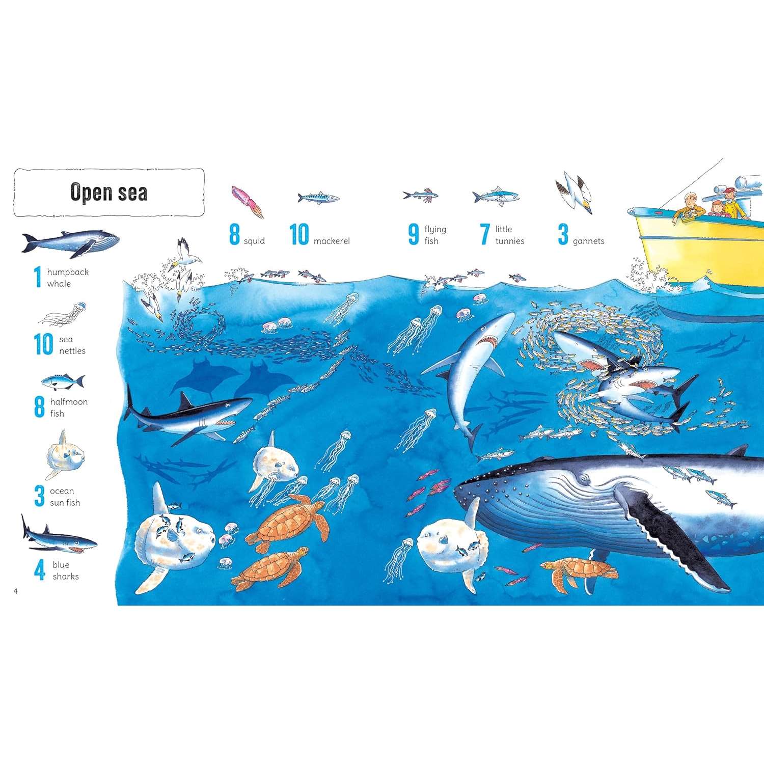 1001 Things to Spot in the Sea - Book - Paracay