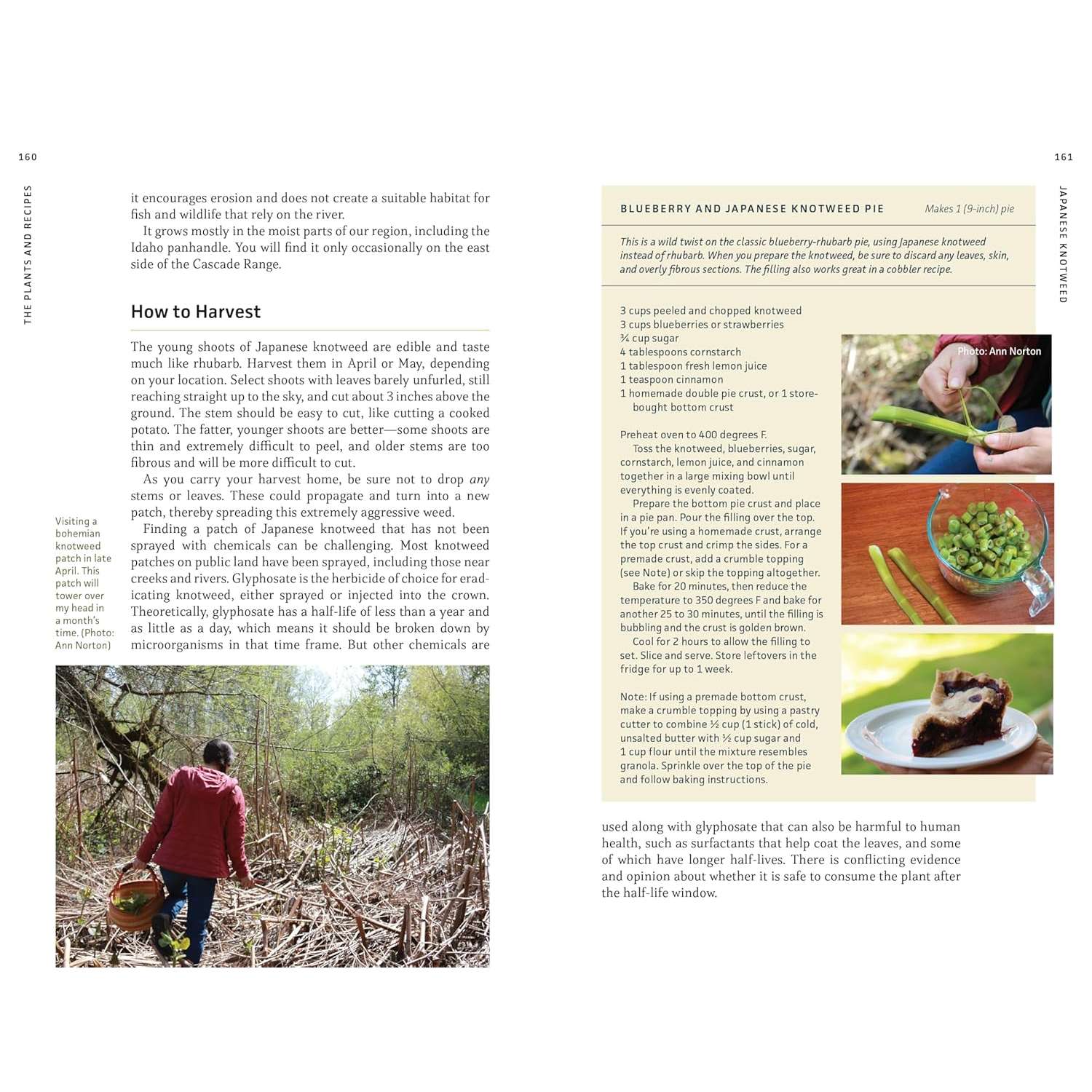 Edible Plants of the Pacific Northwest - Book - Paracay