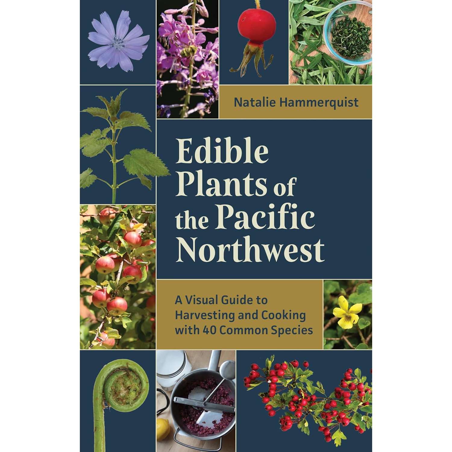 Edible Plants of the Pacific Northwest - Book - Paracay