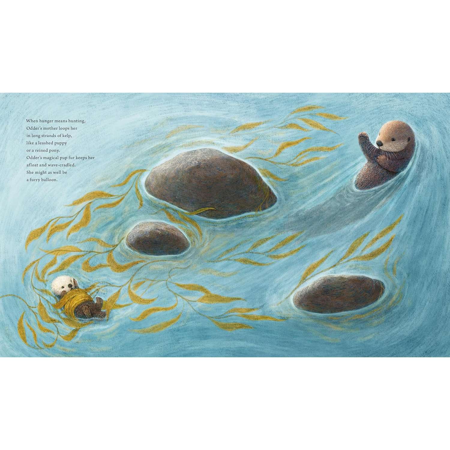 Odder: An Otter's Story - Book - Paracay