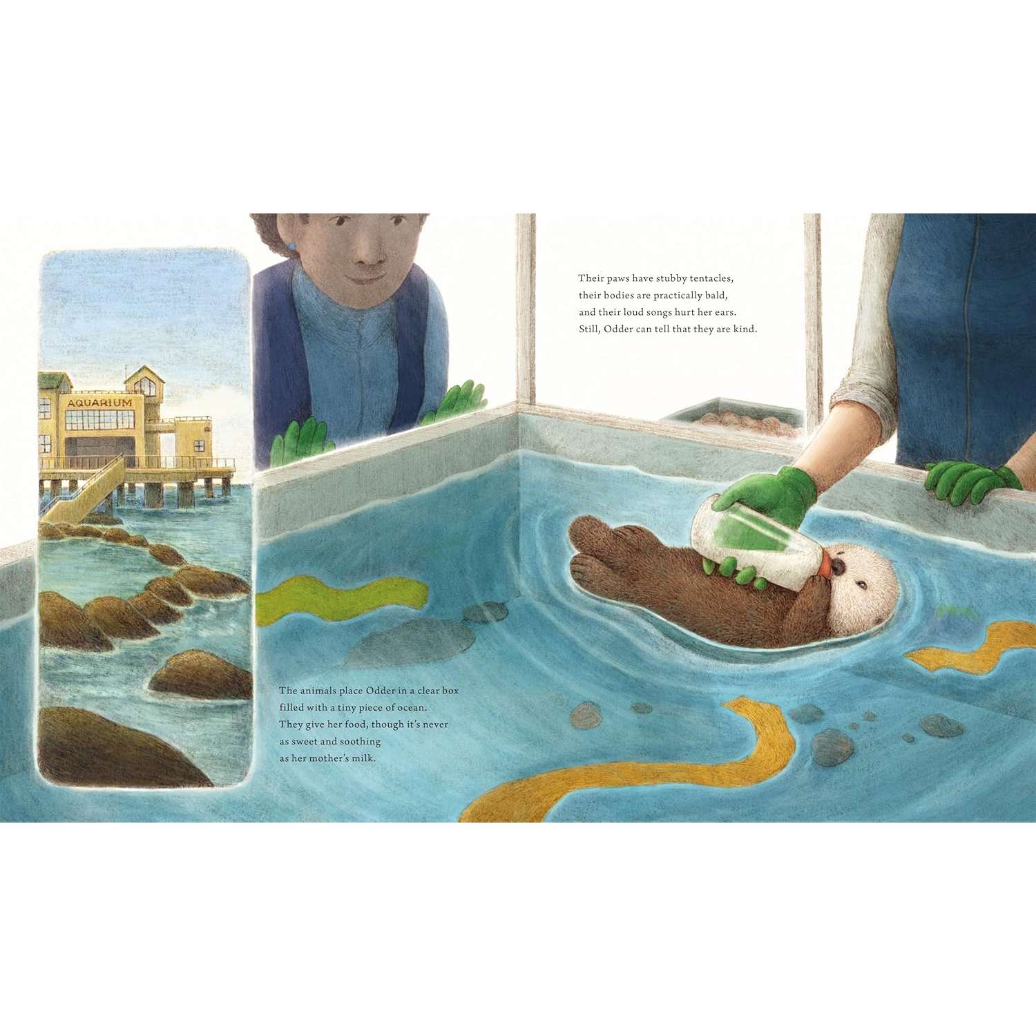 Odder: An Otter's Story - Book - Paracay