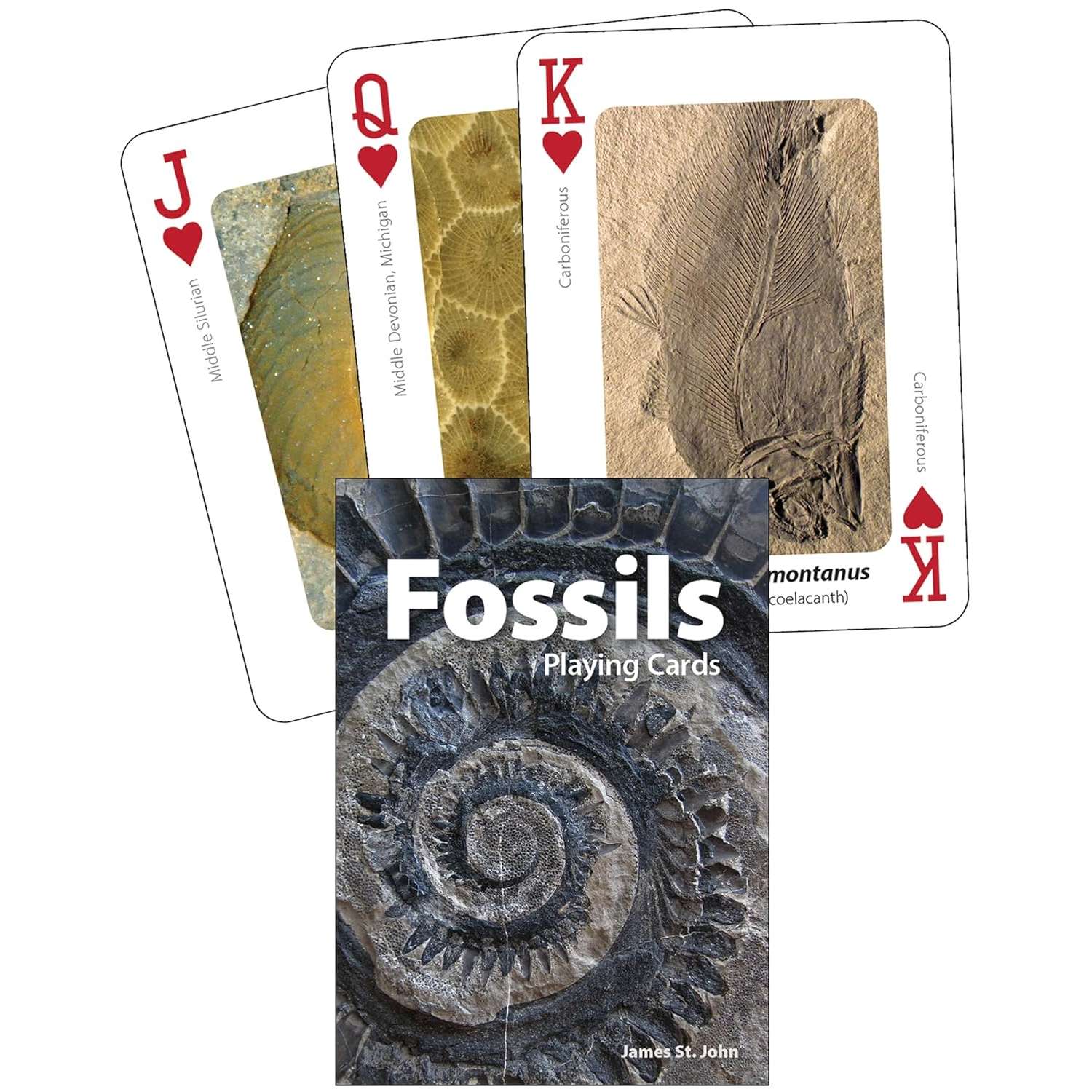 Fossils Playing Cards - Paracay