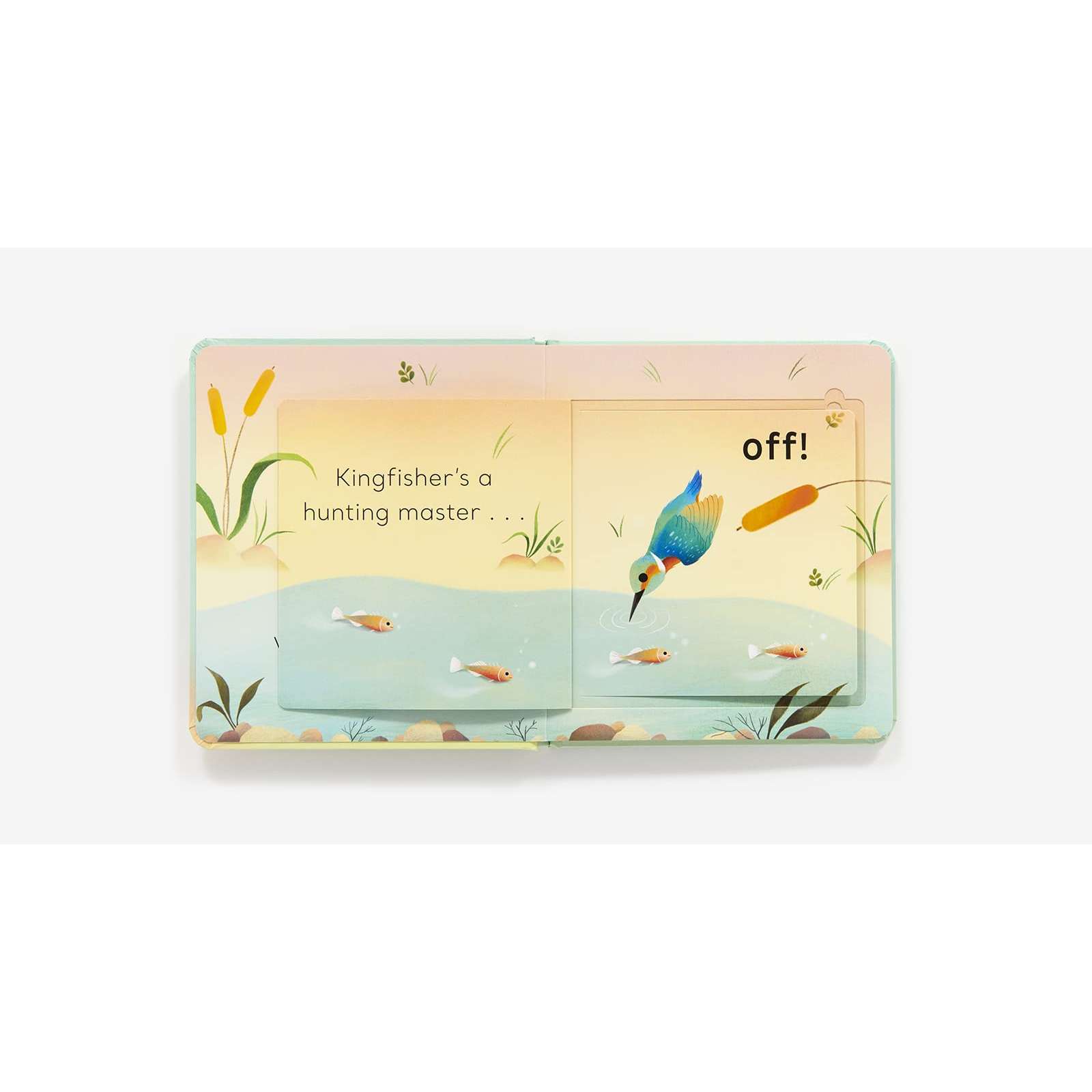 Children's Books :: All Children's Books :: Board Books :: In the Pond ...