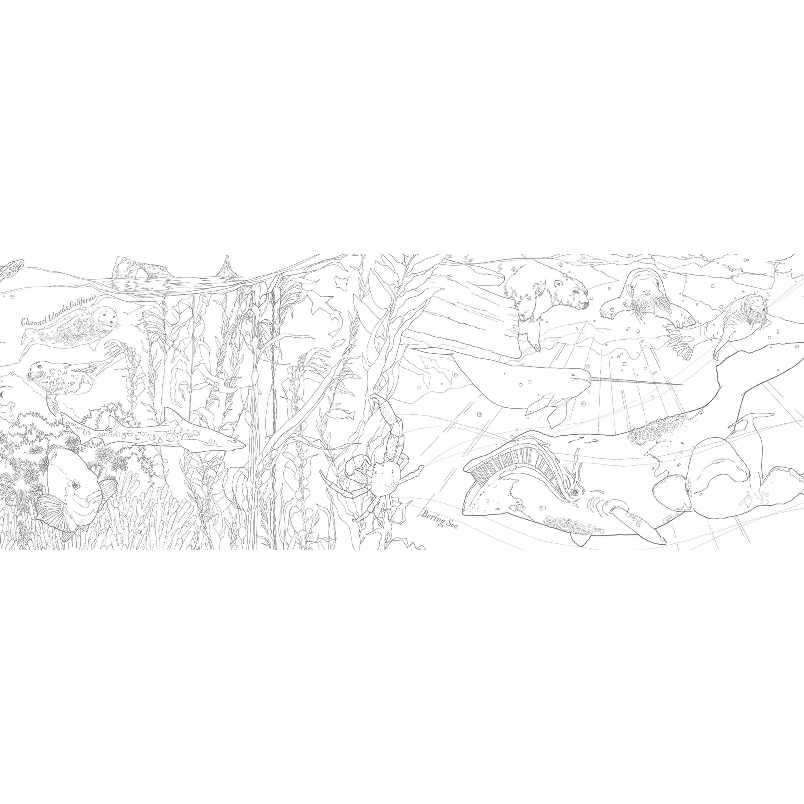 Books & Gifts :: Art & Hobbies :: Coloring Books :: Posh Panorama Adult ...