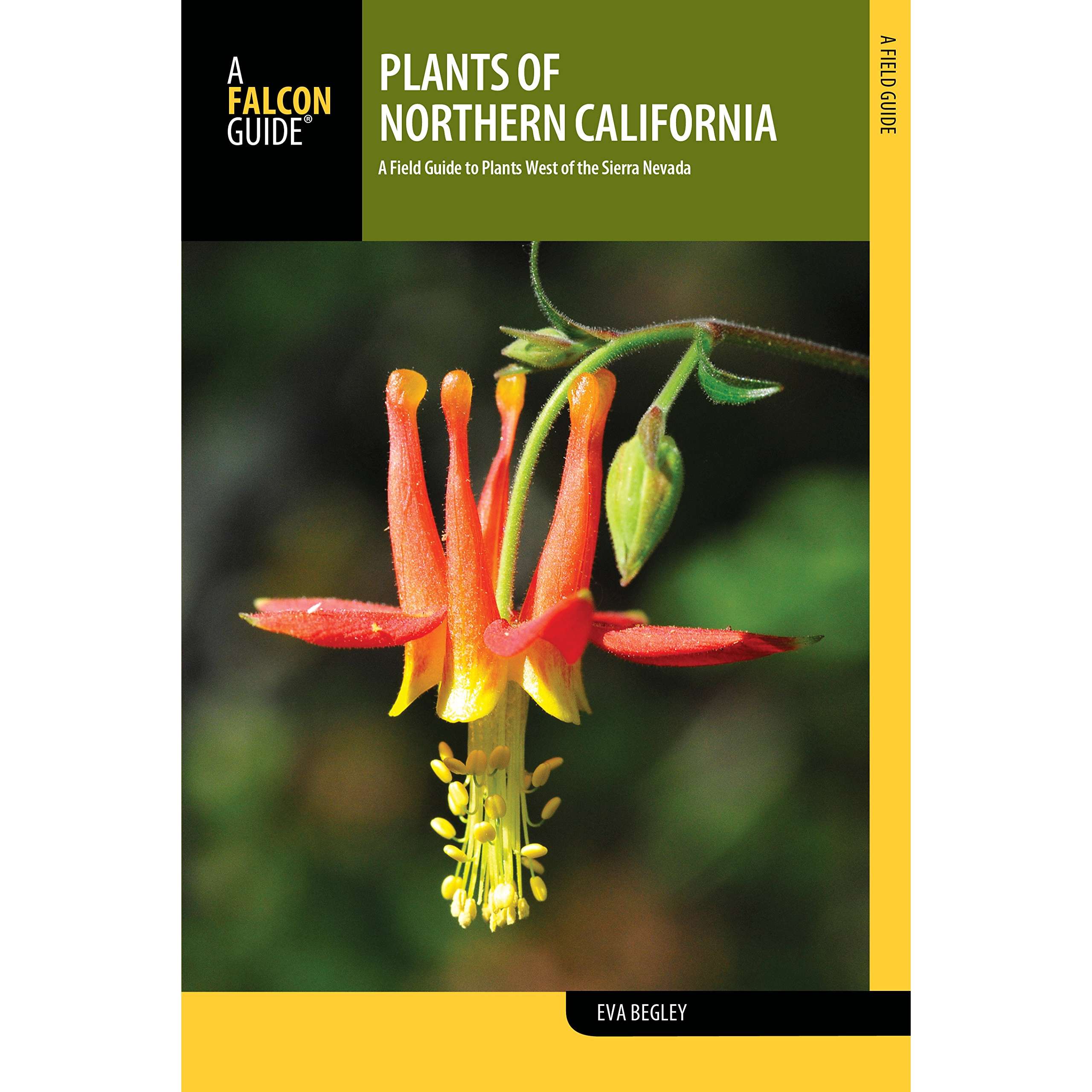 Books & Gifts :: Science & Nature :: Field Identification Guides ...