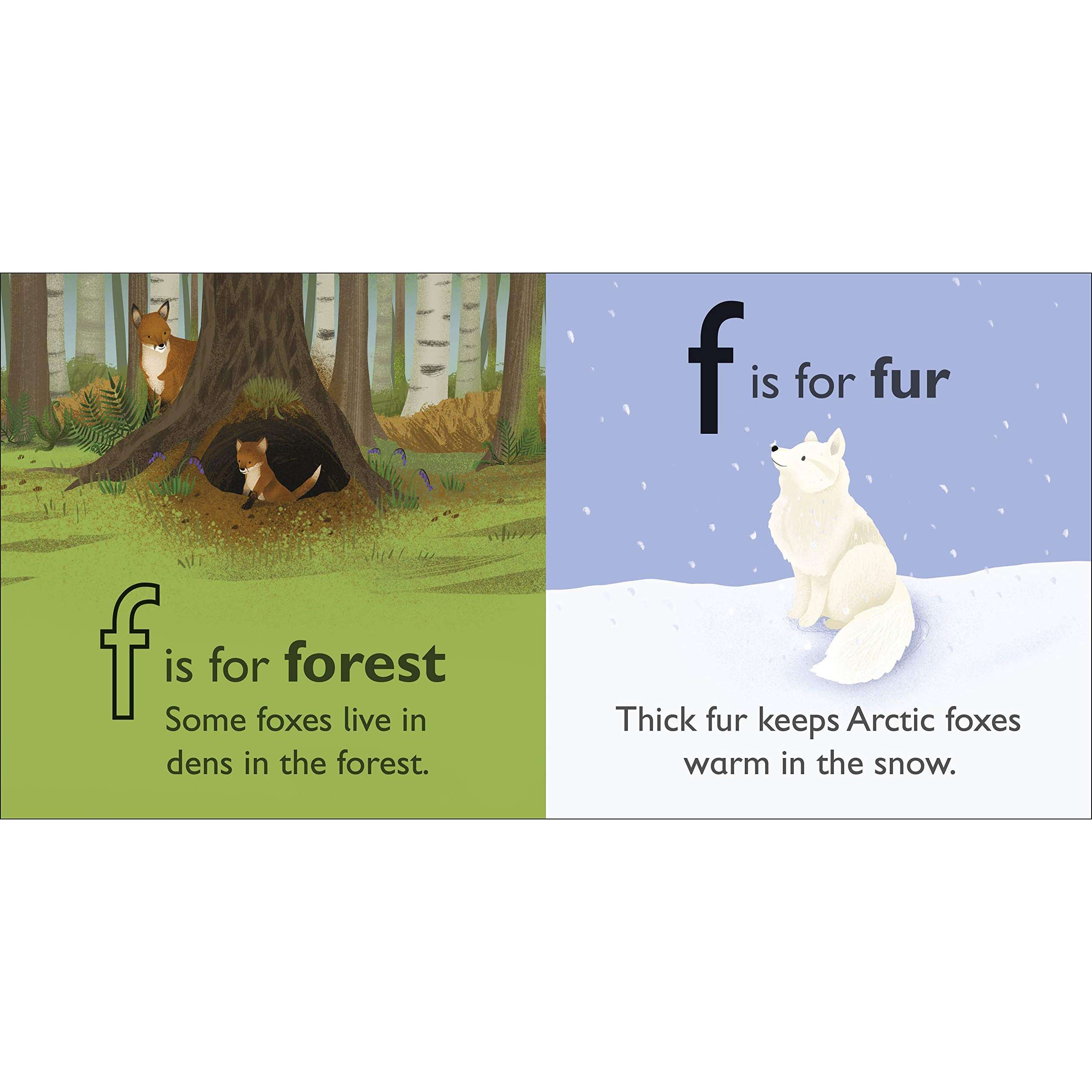 Books & Gifts :: Children's Books :: Board Books :: F is for Fox - Book ...