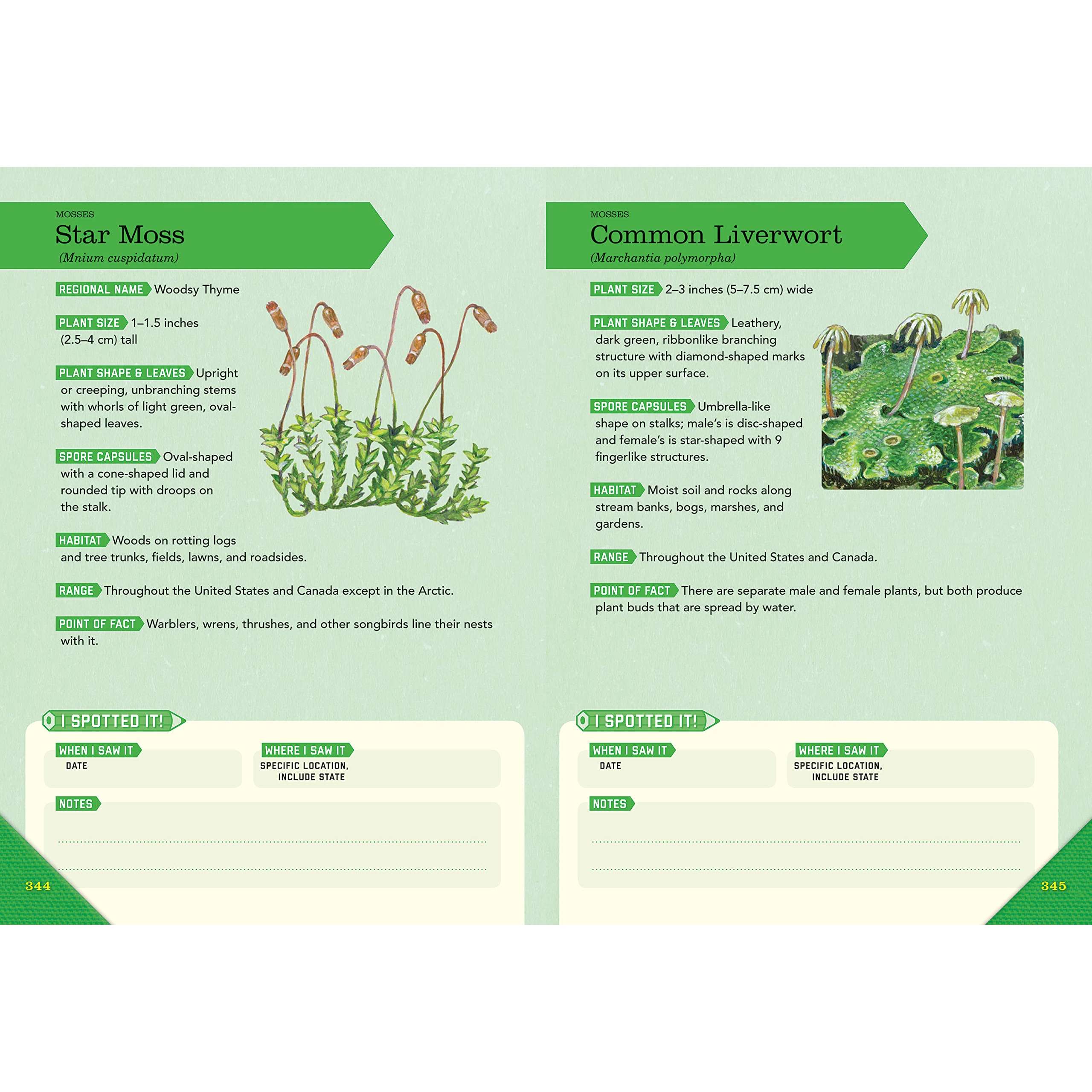 Books & Gifts :: Science & Nature :: Outdoors :: Outdoor School: Tree ...