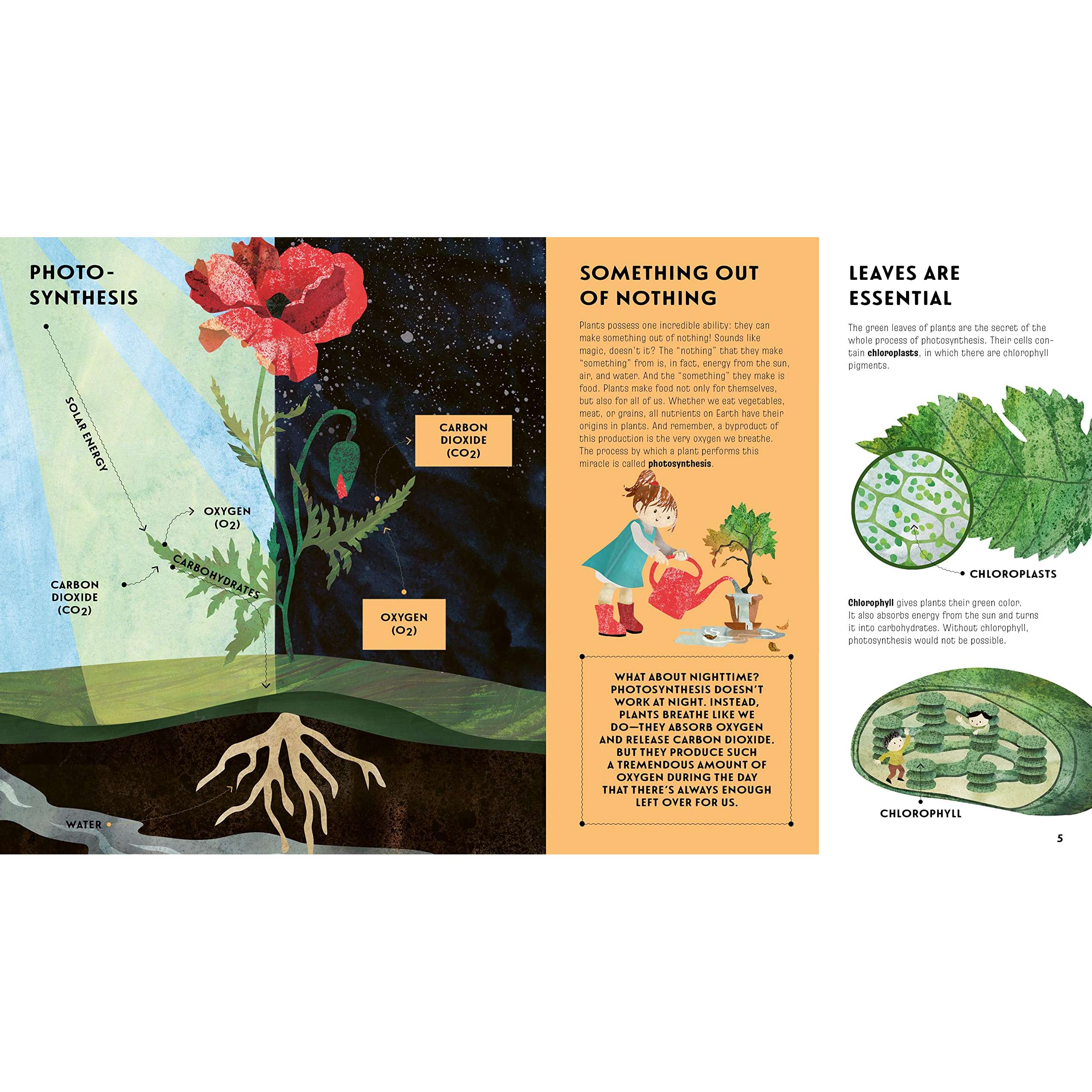 Books & Gifts :: Children's Books :: Environment & Nature for Kids ...