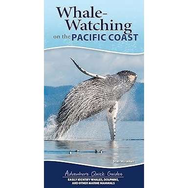 Whale-Watching on the Pacific Coast - Pocket Book - Paracay