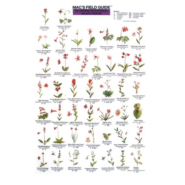 Pacific Northwest / Pacific Coast :: All Pacific Northwest & Pacific Coast Books :: Pacific ...