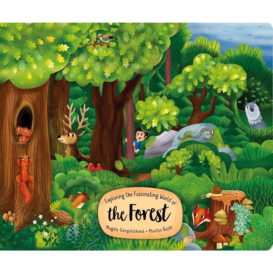 Exploring the Fascinating World of the Forest - Board Book - Paracay